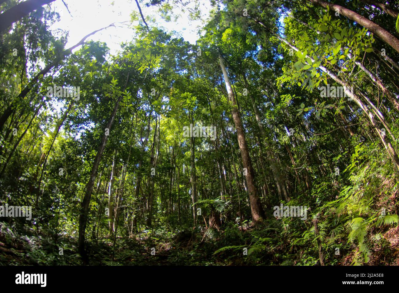 Shinny landscape hi-res stock photography and images - Alamy