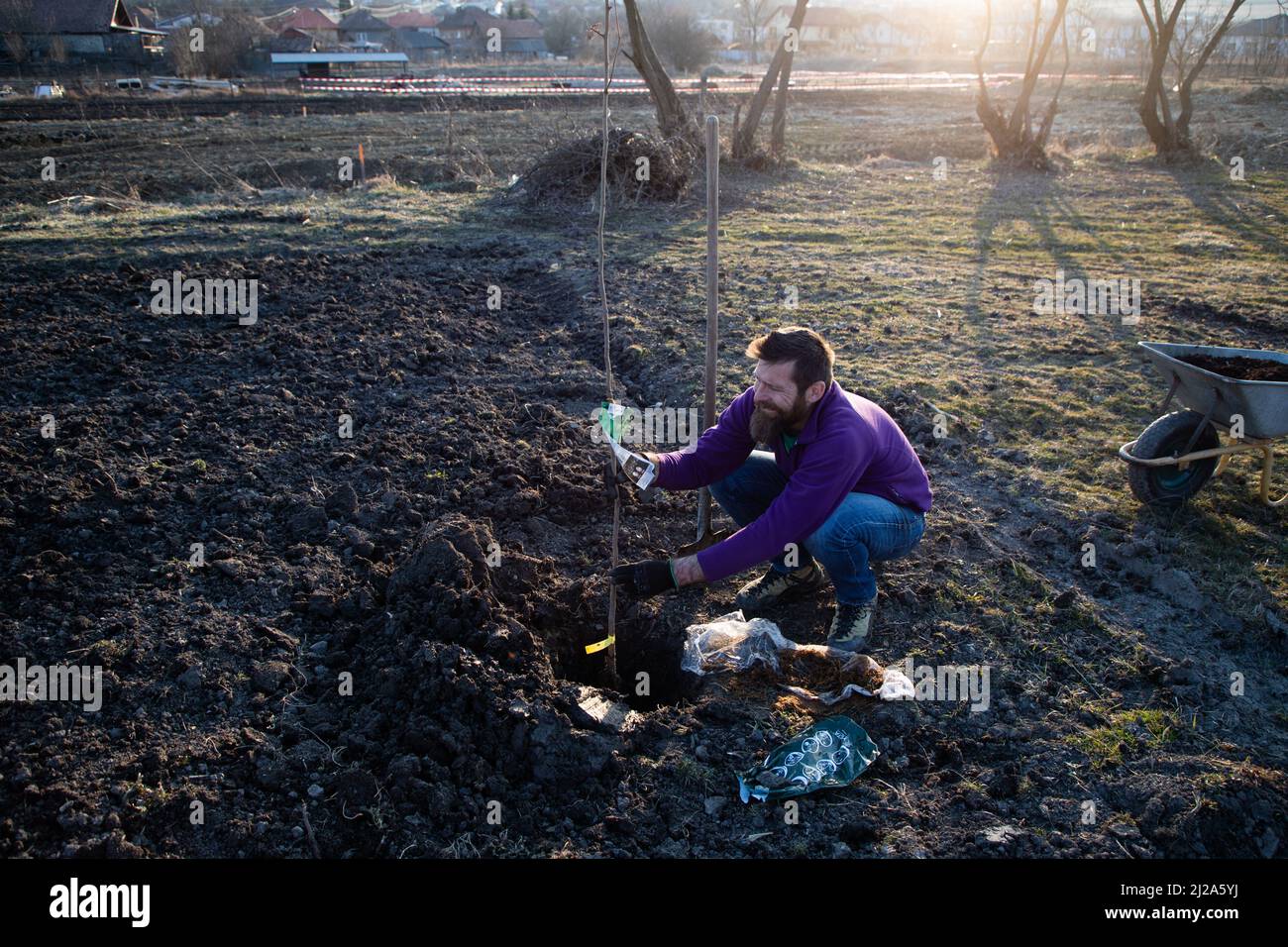 planting a tree in springtime new life concept Stock Photo - Alamy