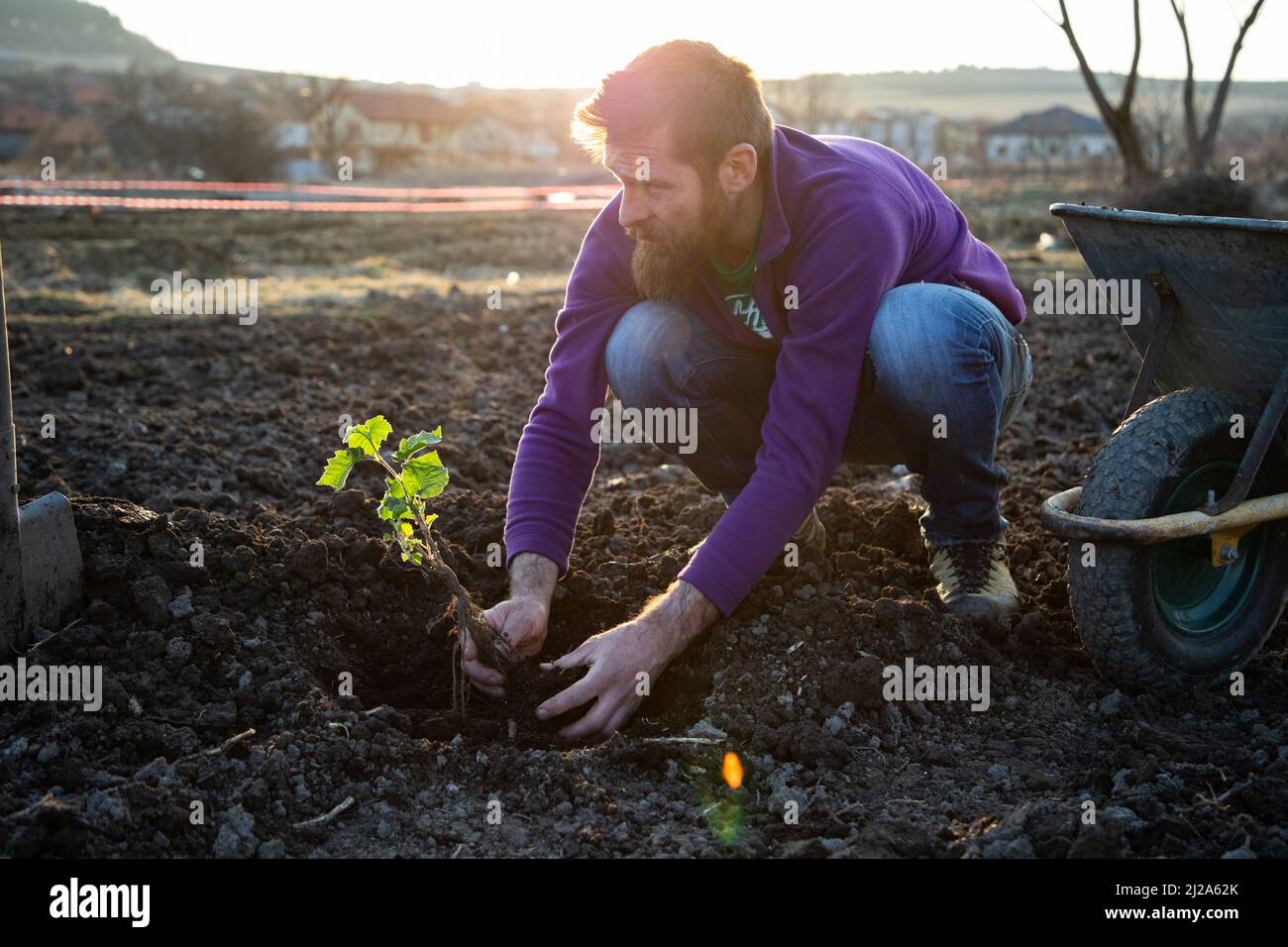 planting a tree in springtime new life concept Stock Photo - Alamy