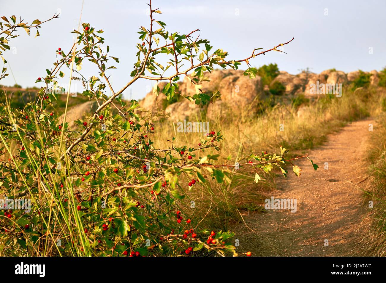 Cool water fountains flow in the summer heat Stock Photo - Alamy
