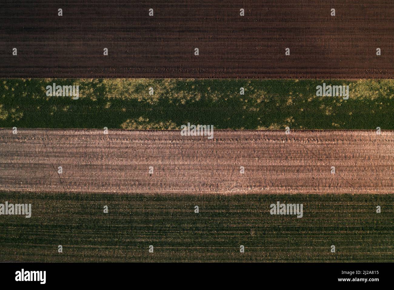 Crop damage due to frost hi-res stock photography and images - Alamy
