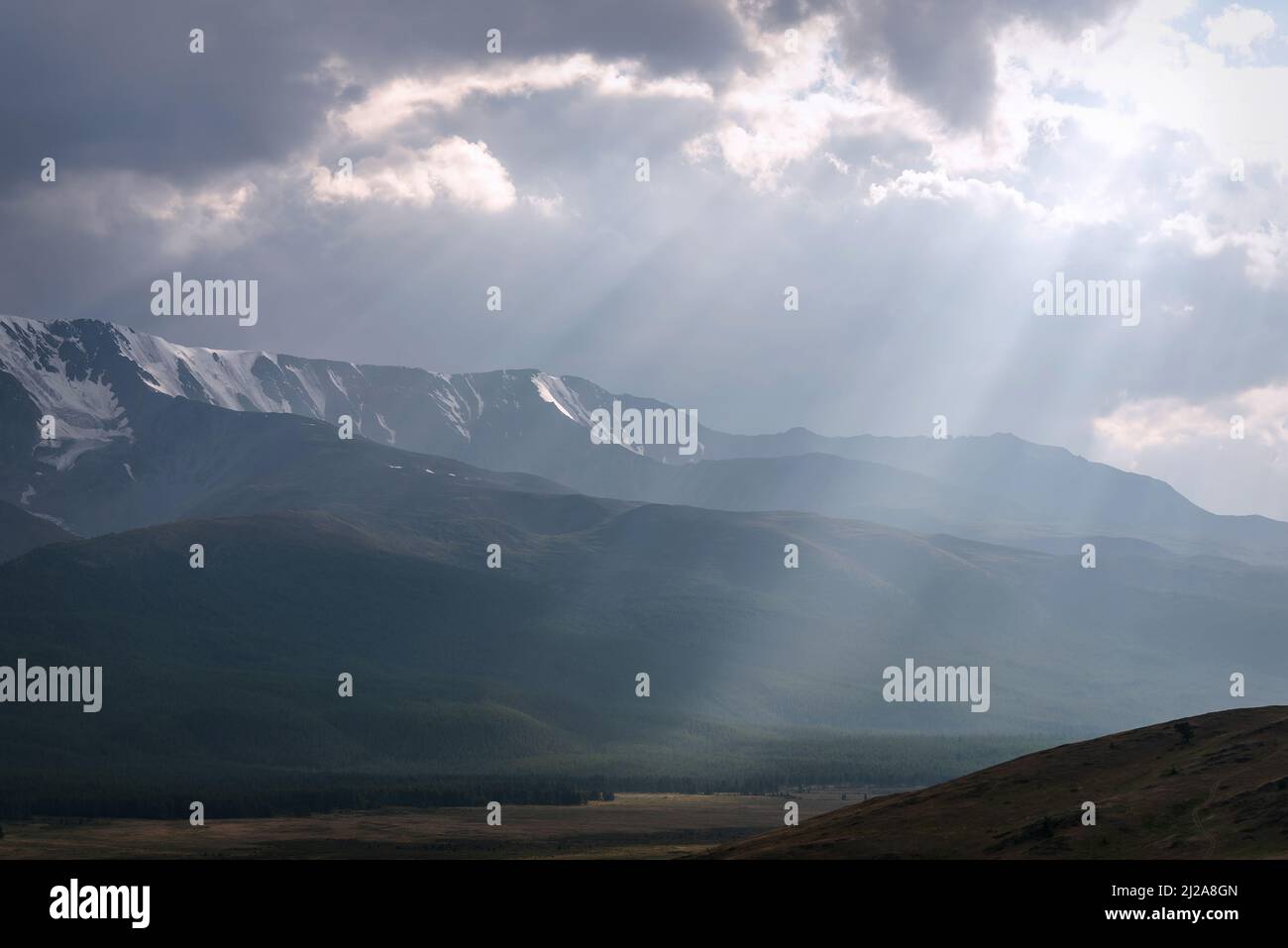 Amazing summer landscape with a mountains covered with snow and forest ...