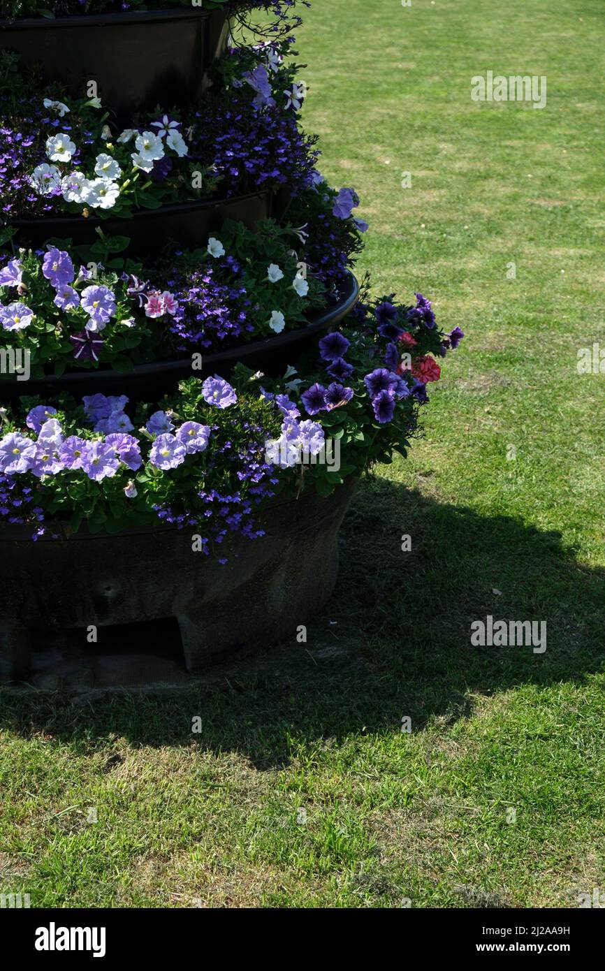 A display of various flowers in a cultivated flower border Stock Photo ...