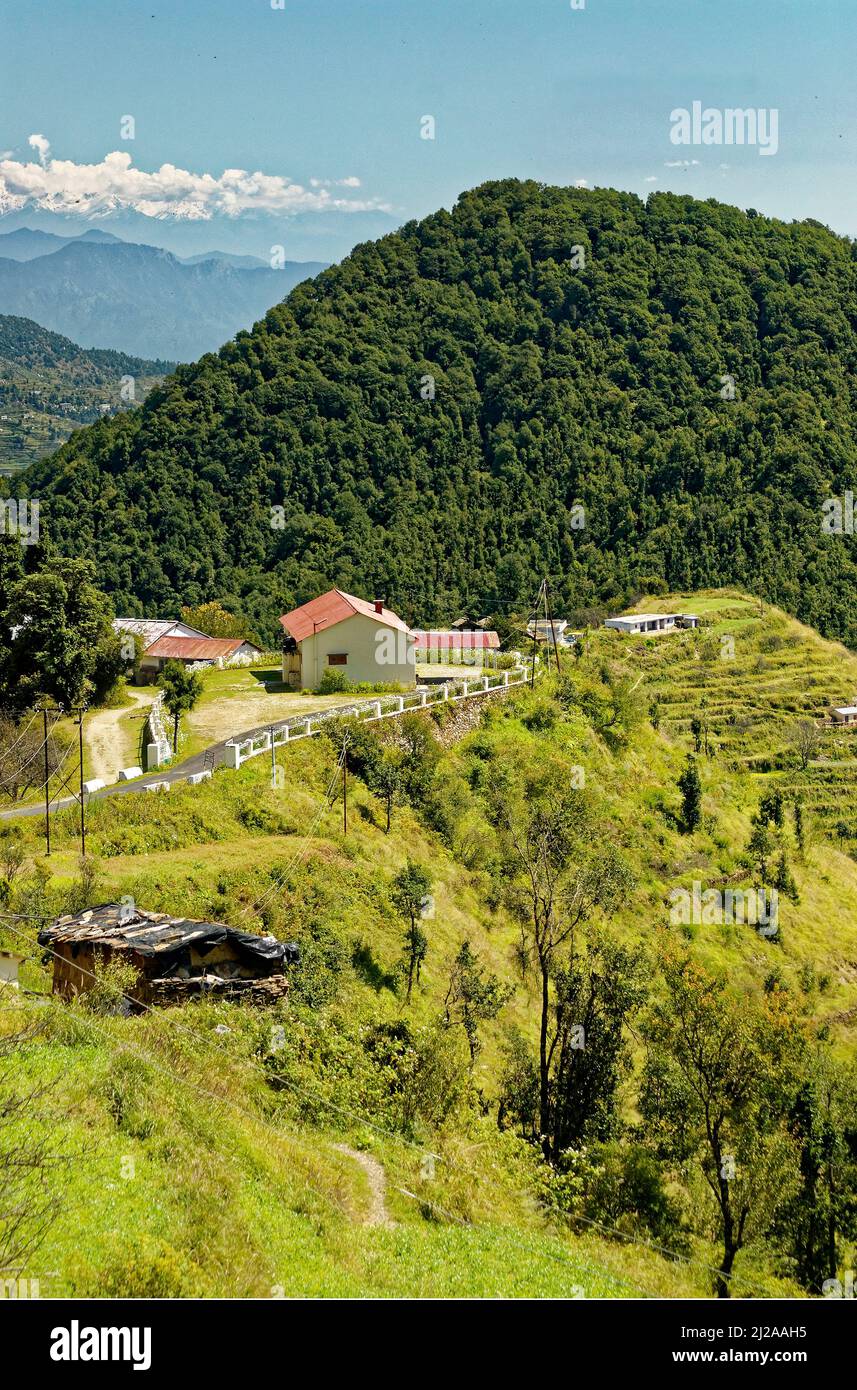 Kaddukhal hi-res stock photography and images - Alamy