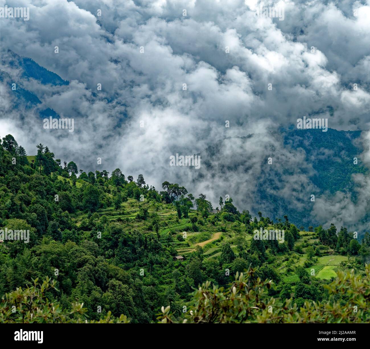 Himalayan mountain and full of clouds in valley at Narayan Ashram ...