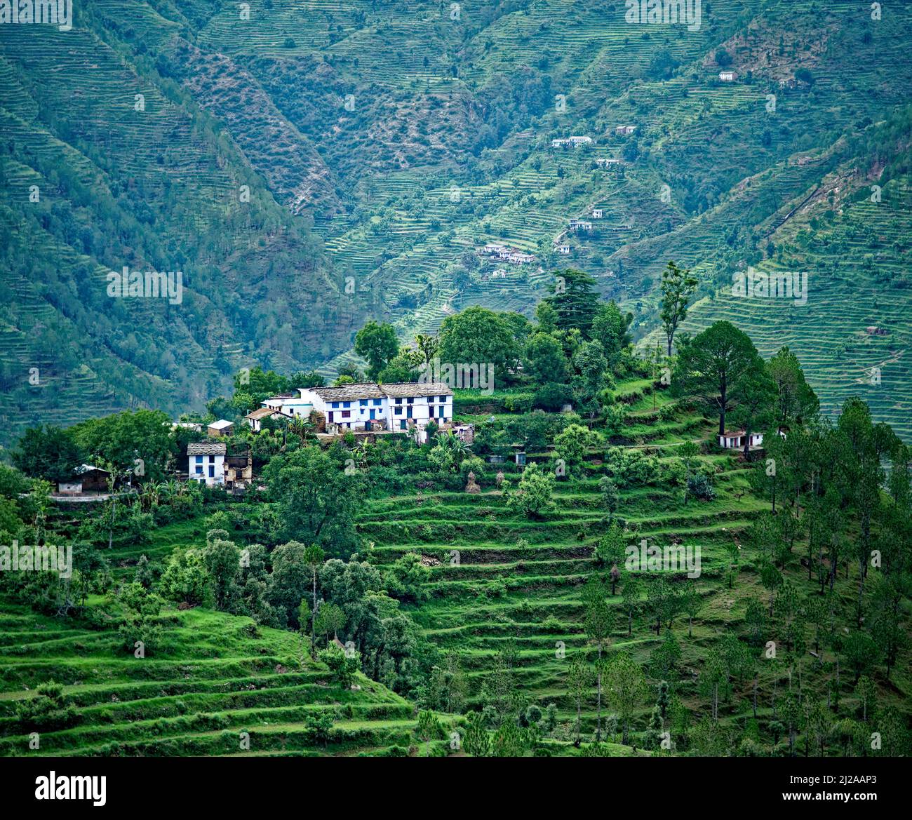 Himalayan village and terrace farming Stock Photo - Alamy