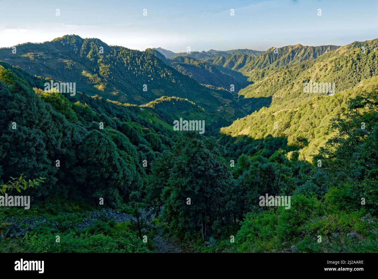 Himalayan valley at kaddukhal state Uttaranchal India Stock Photo - Alamy