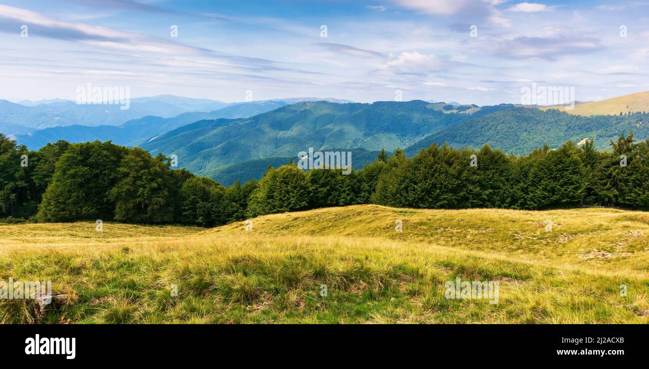 beautiful mountain view of carpathian alps. idyllic scenery with green ...