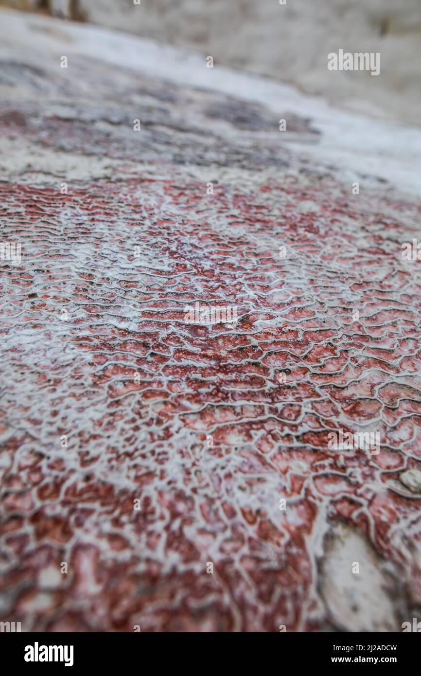 Image of the travertine terraces in Pamukkale, Turkey Stock Photo - Alamy