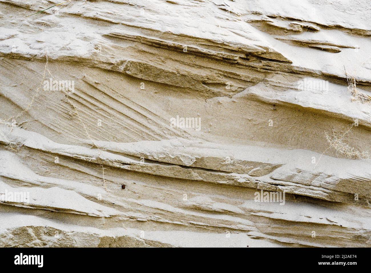 Collapsing sand dune, Bray-Dunes, Nord, Hauts-de-France, France Stock ...