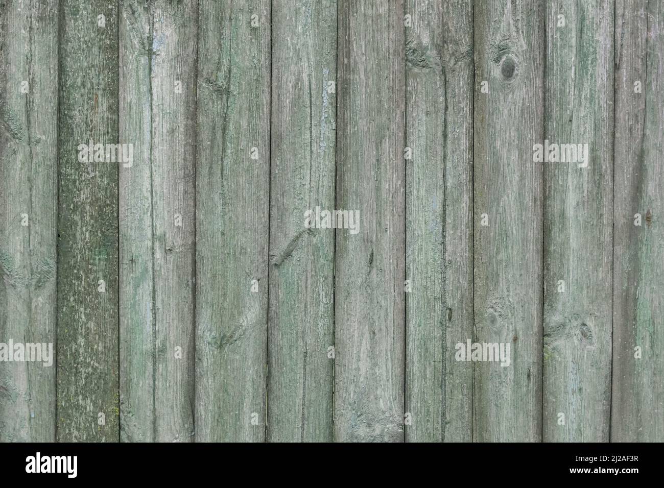 Textures Texture Seamless Green Painted Wood Fence Texture Seamless