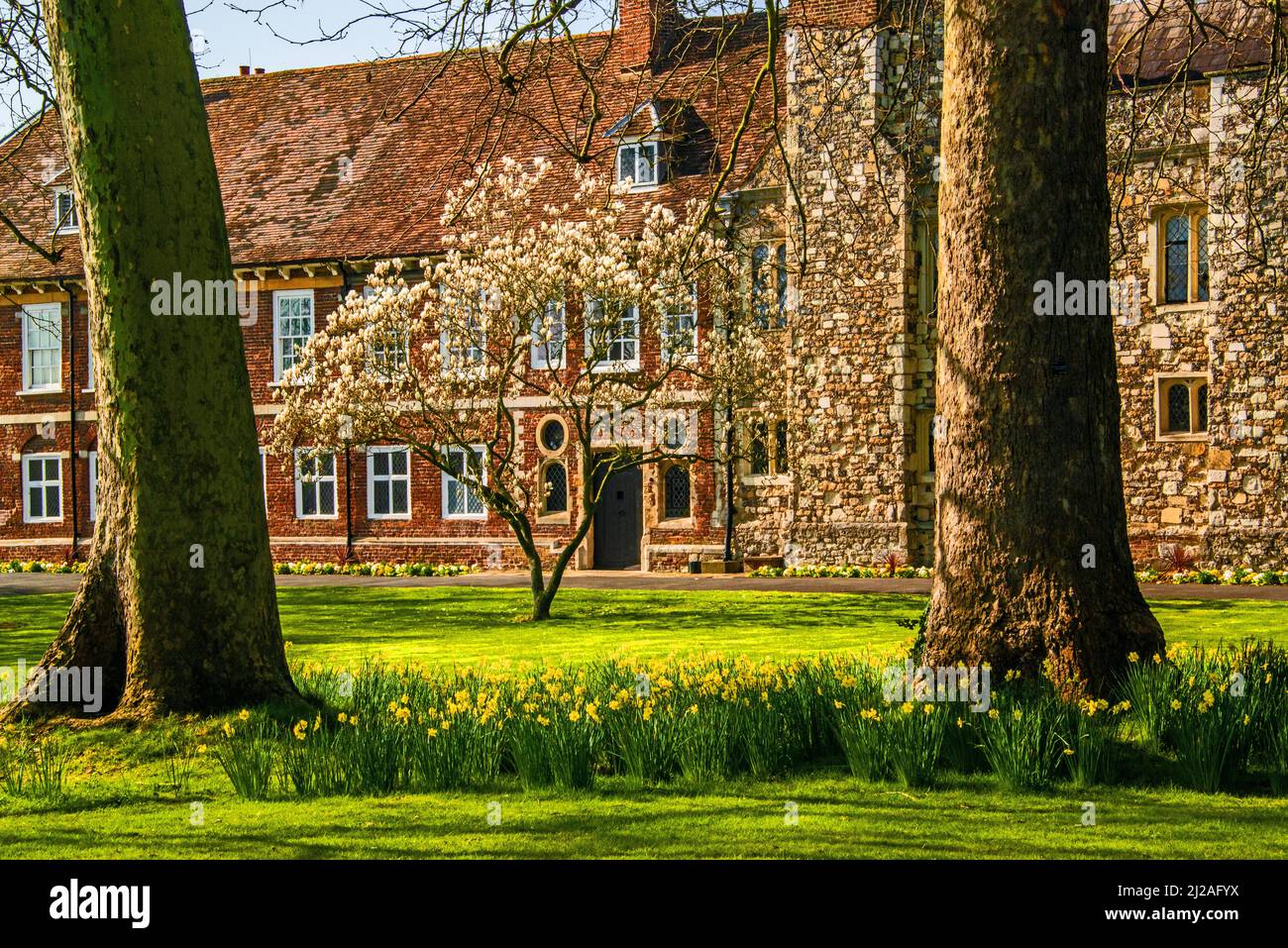Museum grade restoration hi-res stock photography and images - Alamy