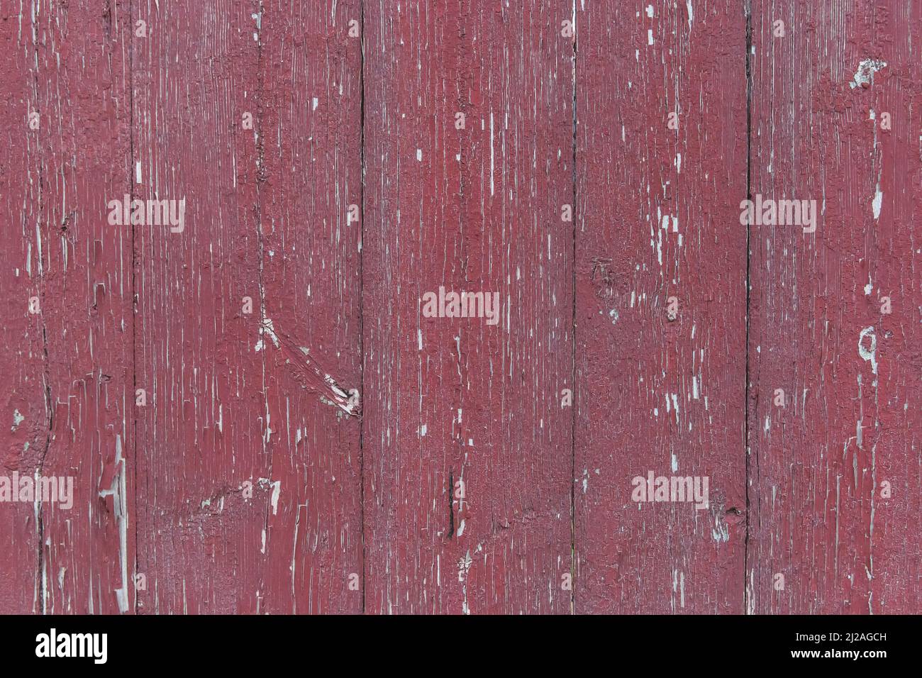 Old wooden worn fence boards weathered texture in peeling red paint dirty obsolete background ...