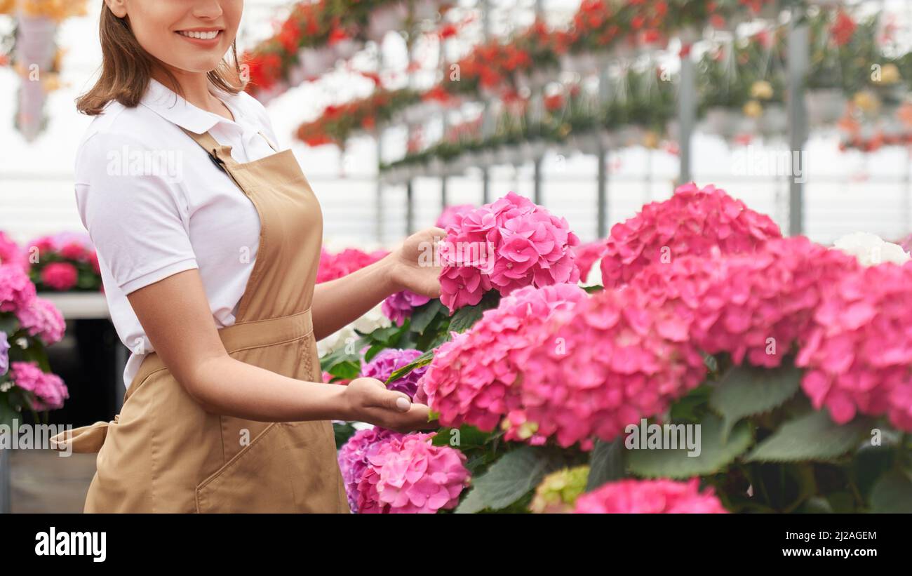 Side view of smiling brunette woman in beige apron caring for pink and violet beautiful ...