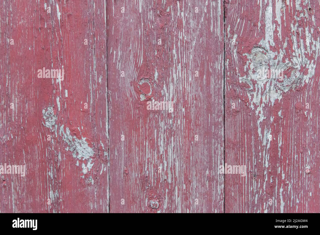Old wooden worn fence boards weathered texture in peeling red paint dirty obsolete background ...