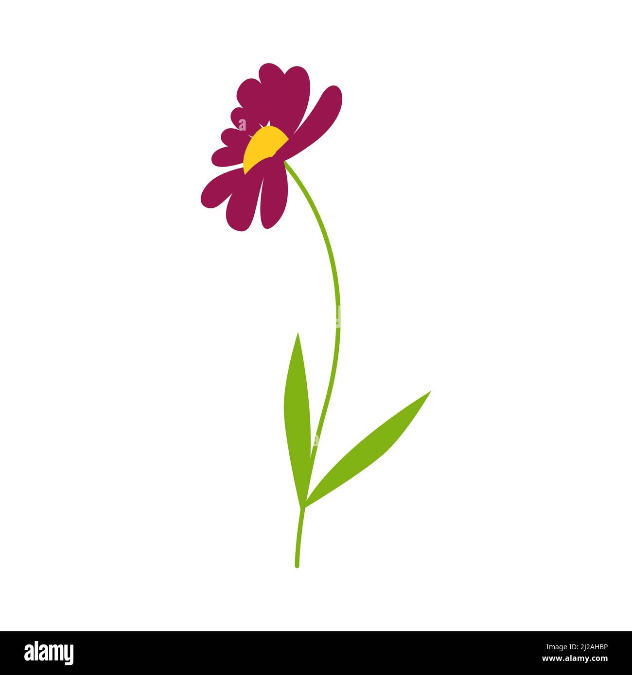 Daisy with stem Stock Vector Images - Alamy