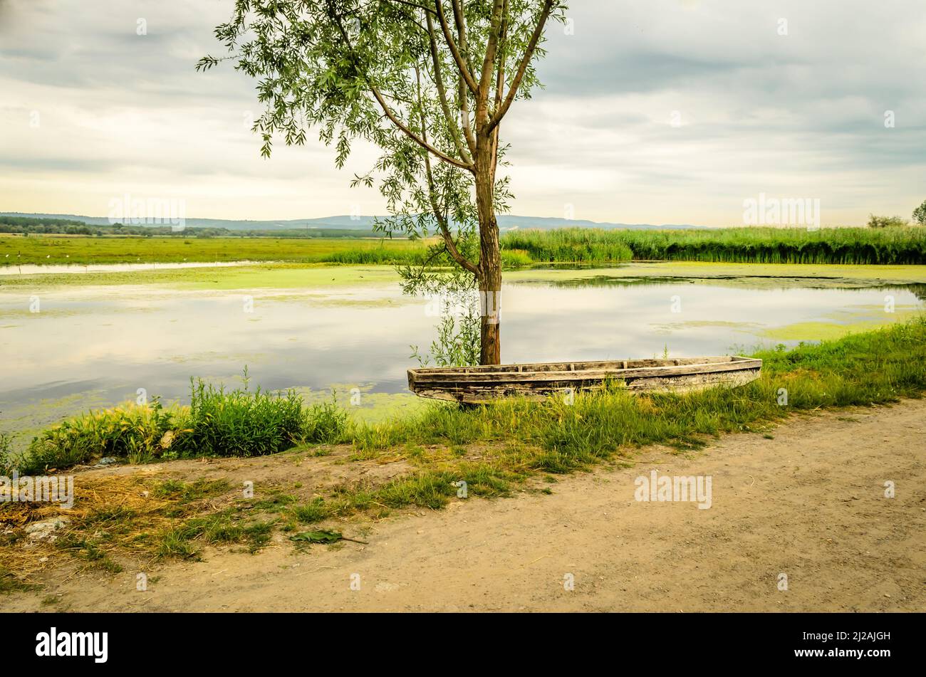 Boat tied to tree hi-res stock photography and images - Alamy