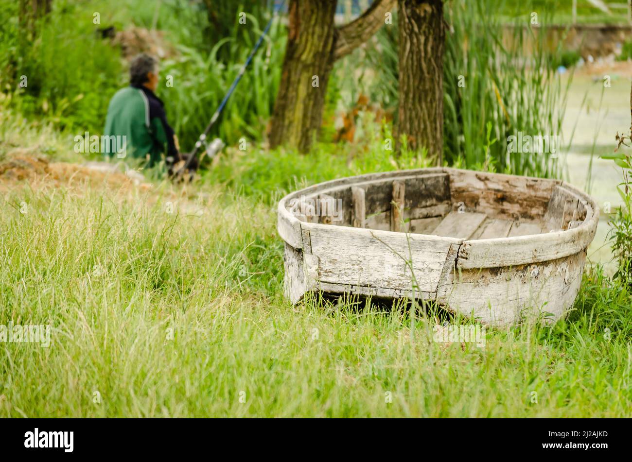 A wooden boat pulled ashore and tied to a tree near Kovilj, not far ...