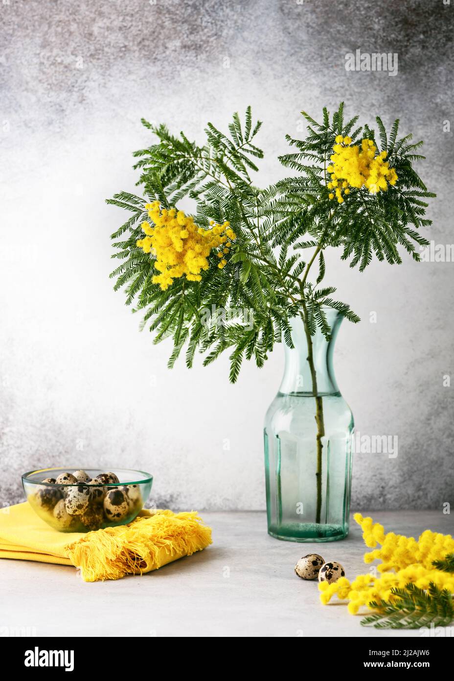 Beautiful bouquet of silver wattle or yellow mimosa flowers in ...