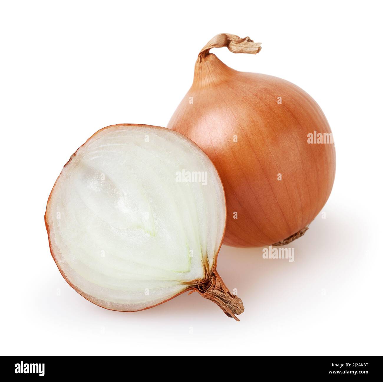 Onion bulbs isolated on white background with clipping path Stock Photo ...