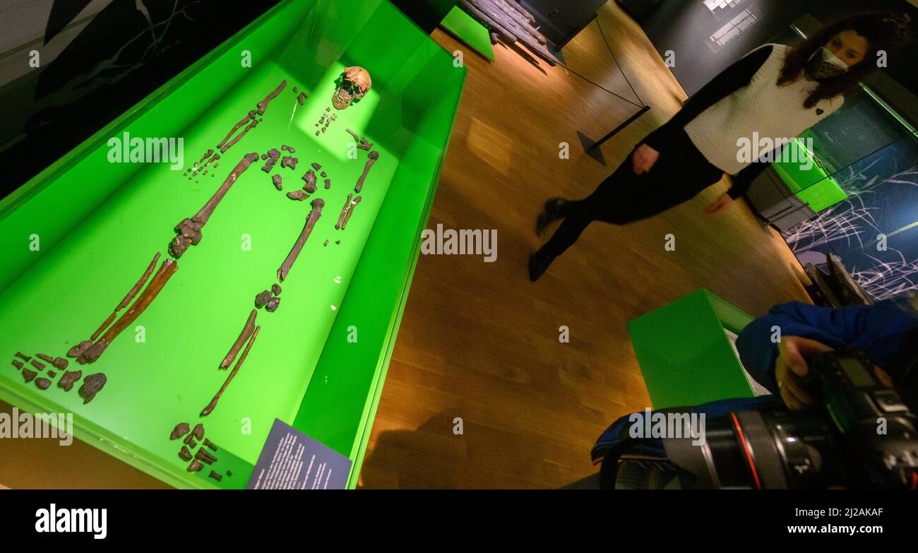 4000 bc hi-res stock photography and images - Alamy