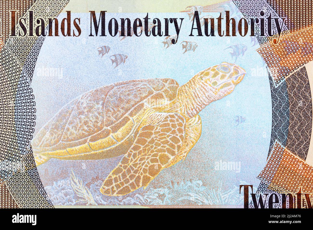 Hawksbill turtle from Cayman Islands money - dollar Stock Photo - Alamy