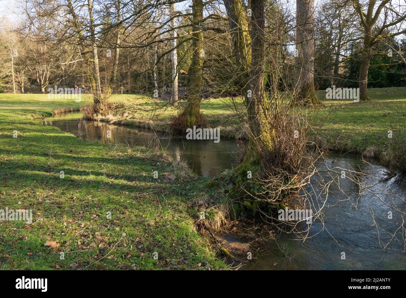 Colesbourne Garden Meadow and Walk Stock Photo - Alamy