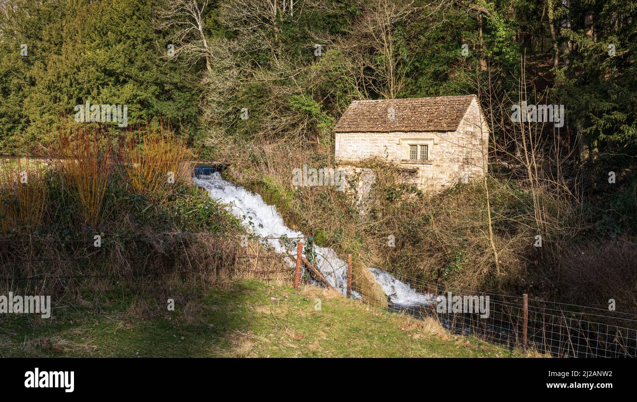 Colesbourne Garden Meadow and Walk Stock Photo - Alamy