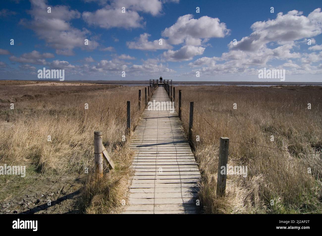 Insel amrum hi-res stock photography and images - Alamy