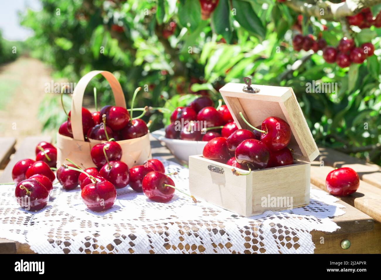 Sweet red cherries in box hi-res stock photography and images - Alamy