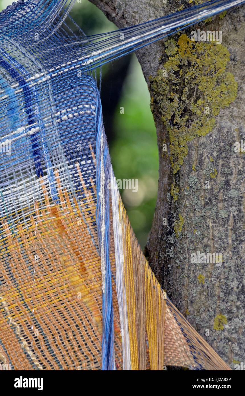 Hing tree hi-res stock photography and images - Alamy