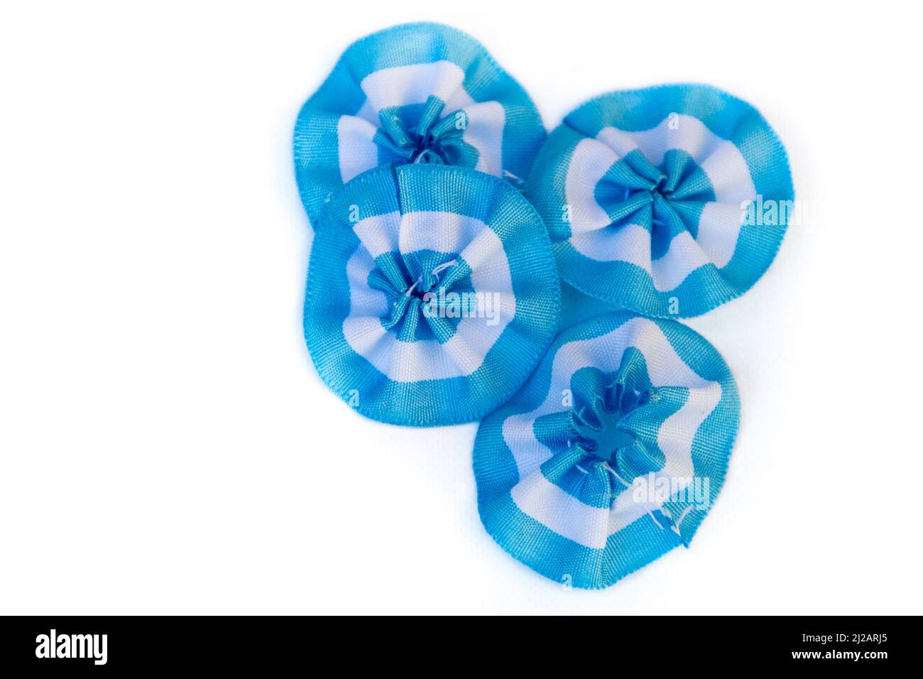 several pale blue and white Argentinian cockades on a white background ...
