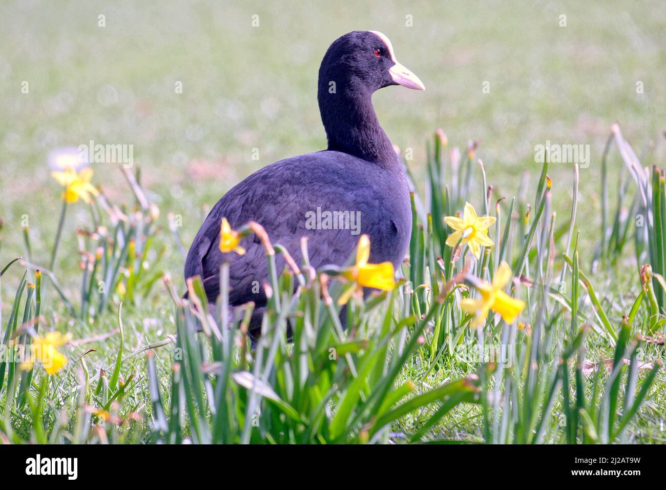 Yearly march hi-res stock photography and images - Alamy