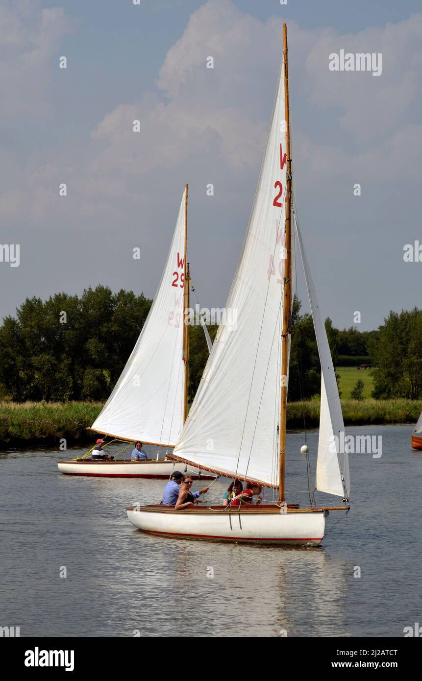 waveney class classic sailing boats tacking on river waveney beccles ...