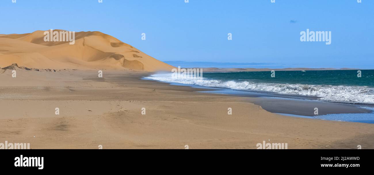 Namibia, the Namib desert, landscape of yellow dunes falling into the ...