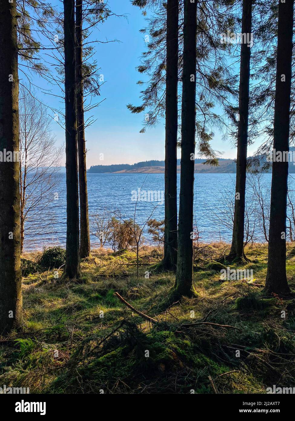 Kielder Water and Forest Park in Northumberland, northeast England ...