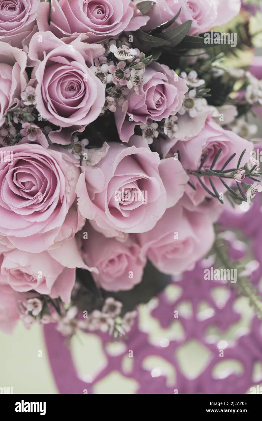 Pink roses flower bouquet hi-res stock photography and images - Alamy