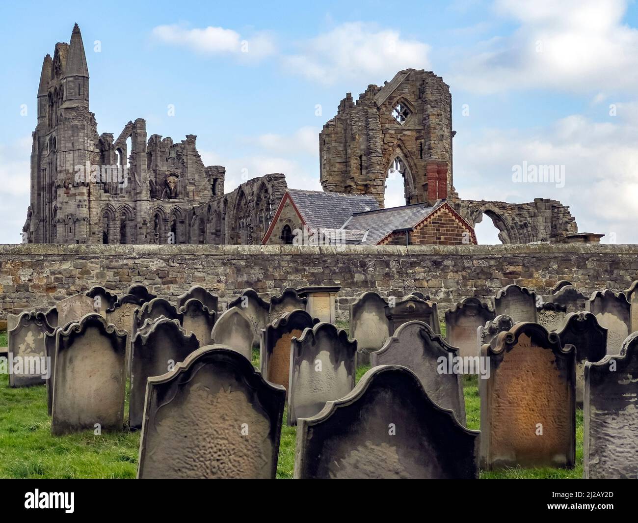 View of the ruins of Whitby Abbey from the graveyard of the Church of ...