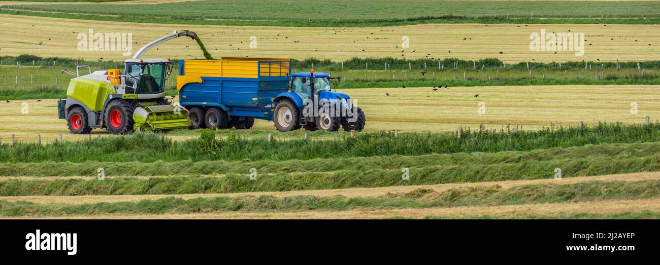 Silage cutting northern ireland hi-res stock photography and images - Alamy