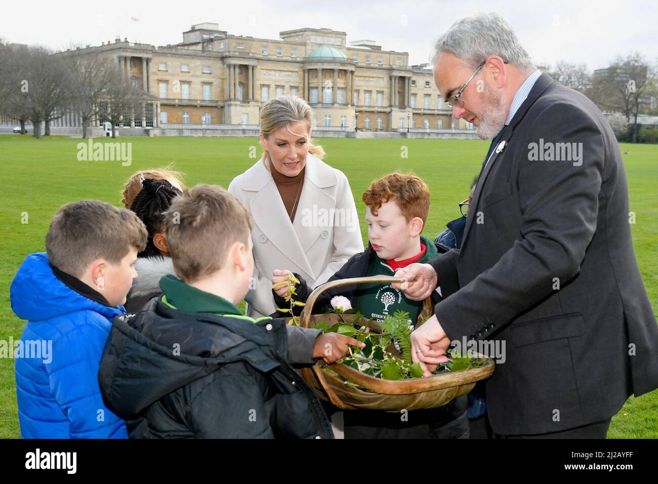 Planting elm trees uk hi-res stock photography and images - Alamy