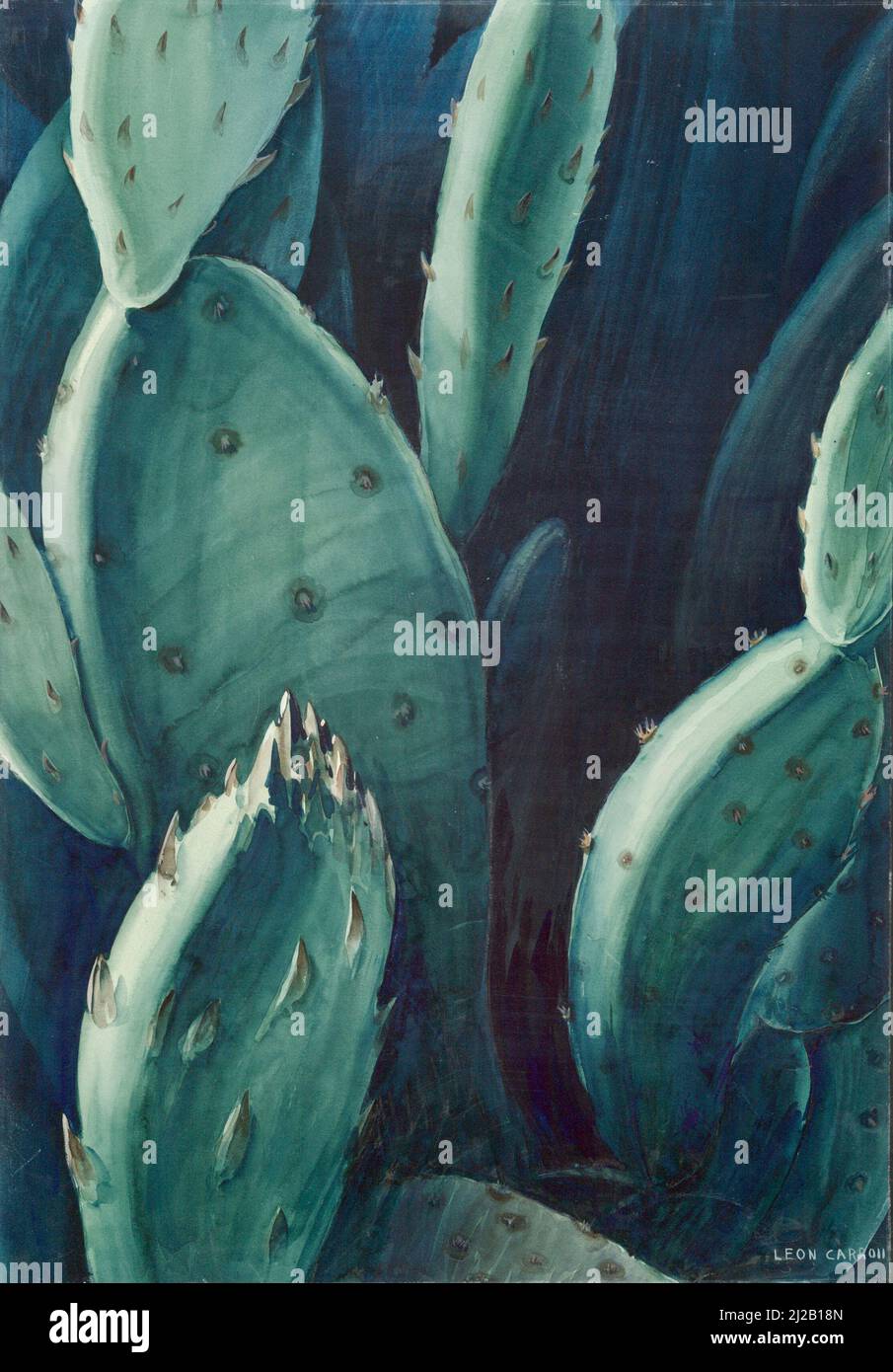 Leon carroll botanical art hi-res stock photography and images - Alamy