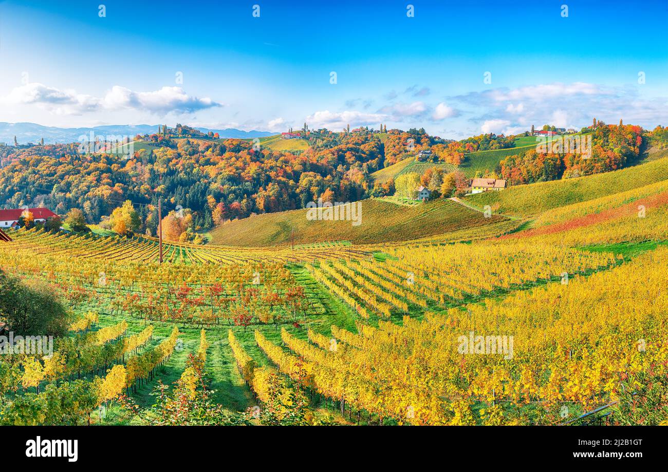 Breathtaking vineyards landscape in South Styria near Gamlitz. Autumn ...