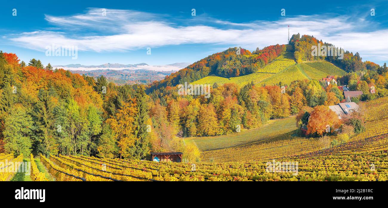 Breathtaking vineyards landscape in South Styria near Gamlitz. Autumn ...