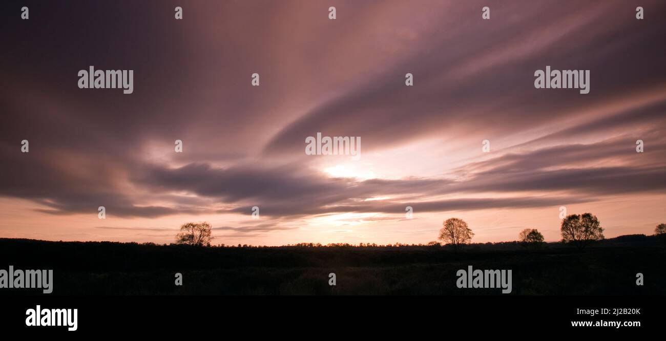 Cannock Chase Country Park AONB evening light in spring (area of ...