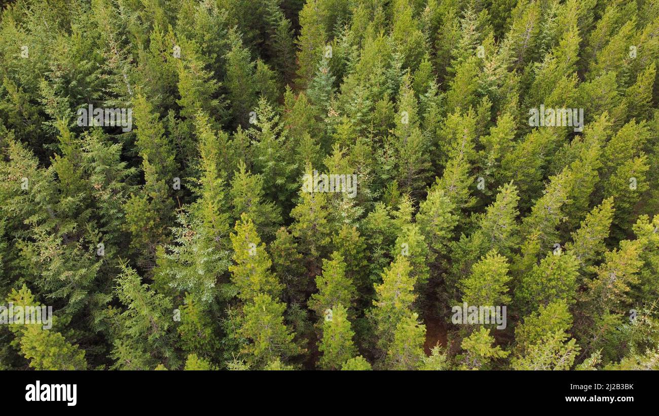 Drone images of Scotland taken with a DJI Magic mini 2 Stock Photo - Alamy