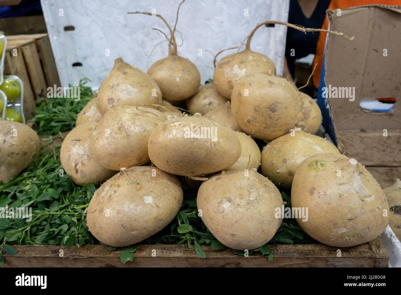 Yamboon hi-res stock photography and images - Alamy