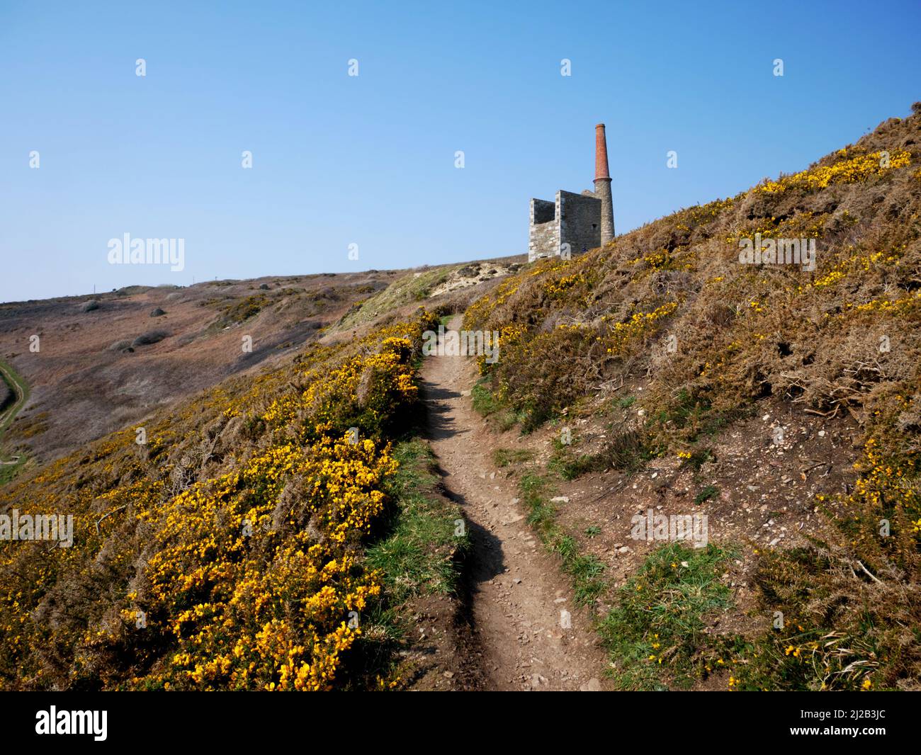 The ruined engine house of Wheal Prosper, on the coast near Rinsey Head ...