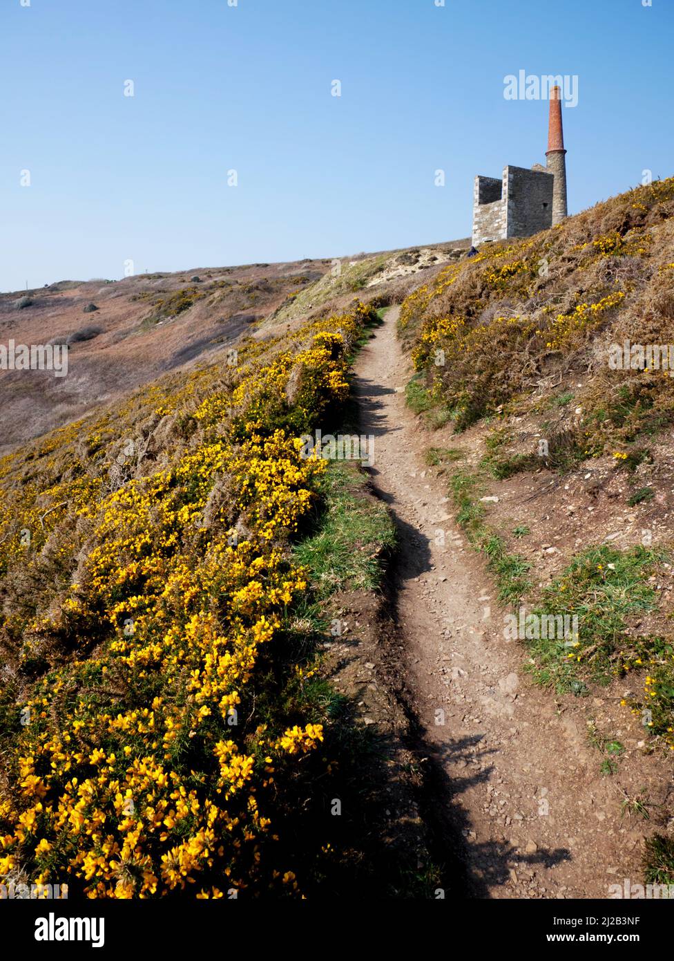 The ruined engine house of Wheal Prosper, on the coast near Rinsey Head ...