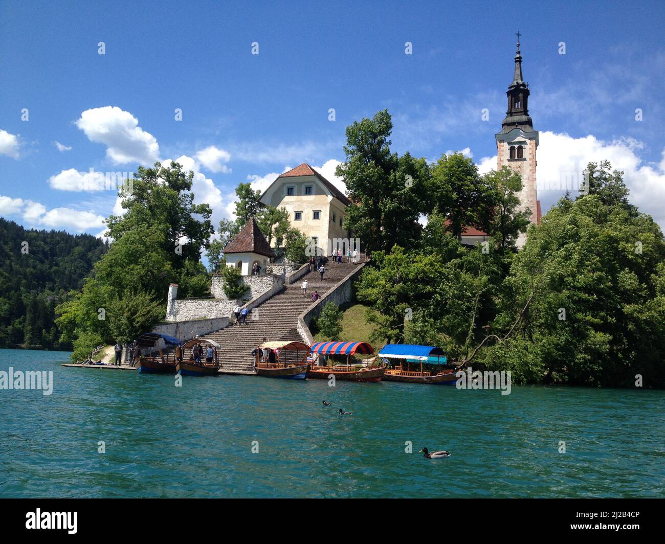 Romantic place as Lake Bled in Slovenia Stock Photo - Alamy