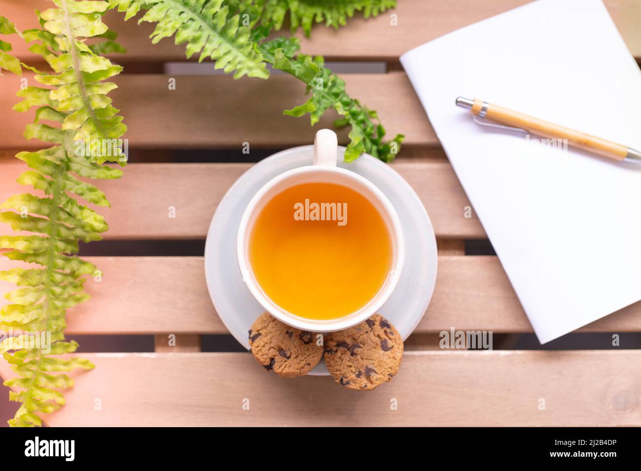 Tea cup placed on an old wooden table with green leaves background with ...